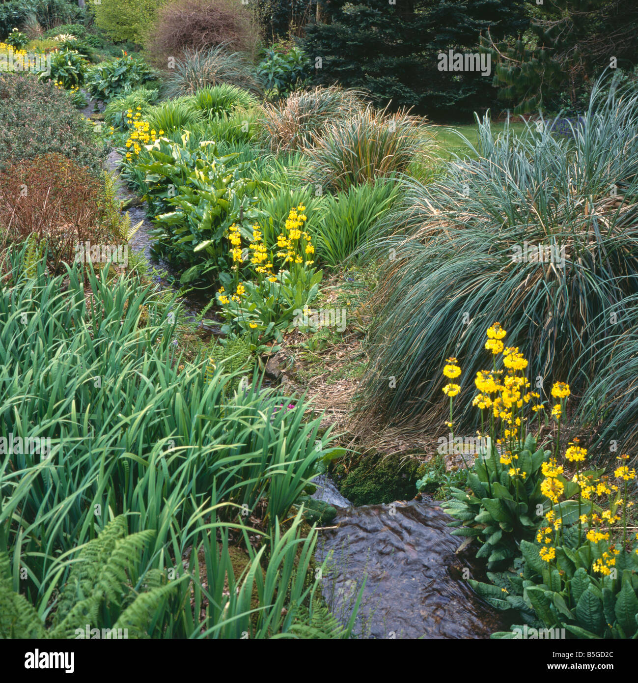 Colourful garden stream feature Stock Photo - Alamy