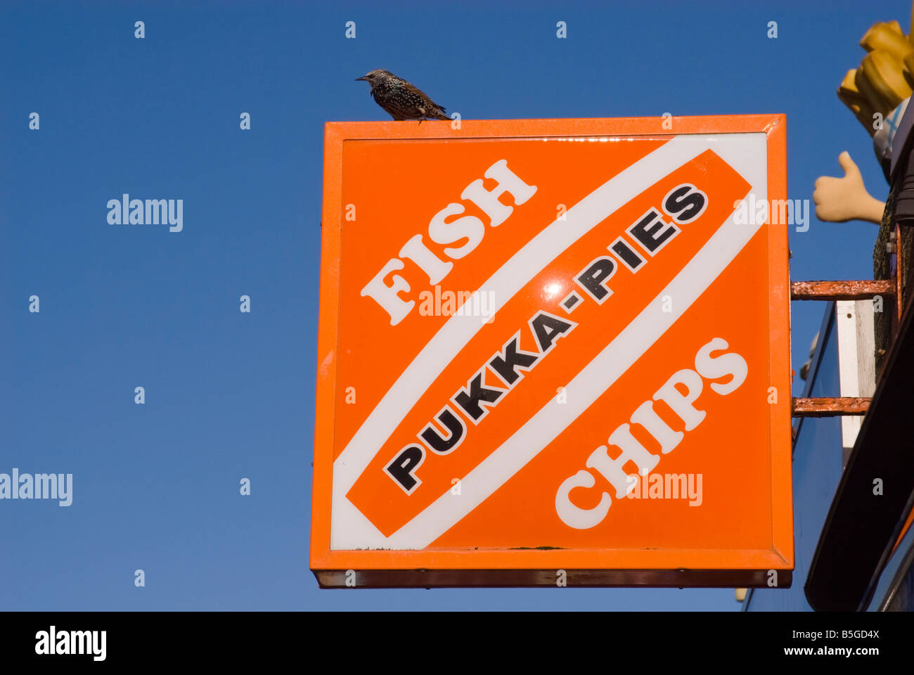 Pukka Pies High Resolution Stock Photography and Images - Alamy