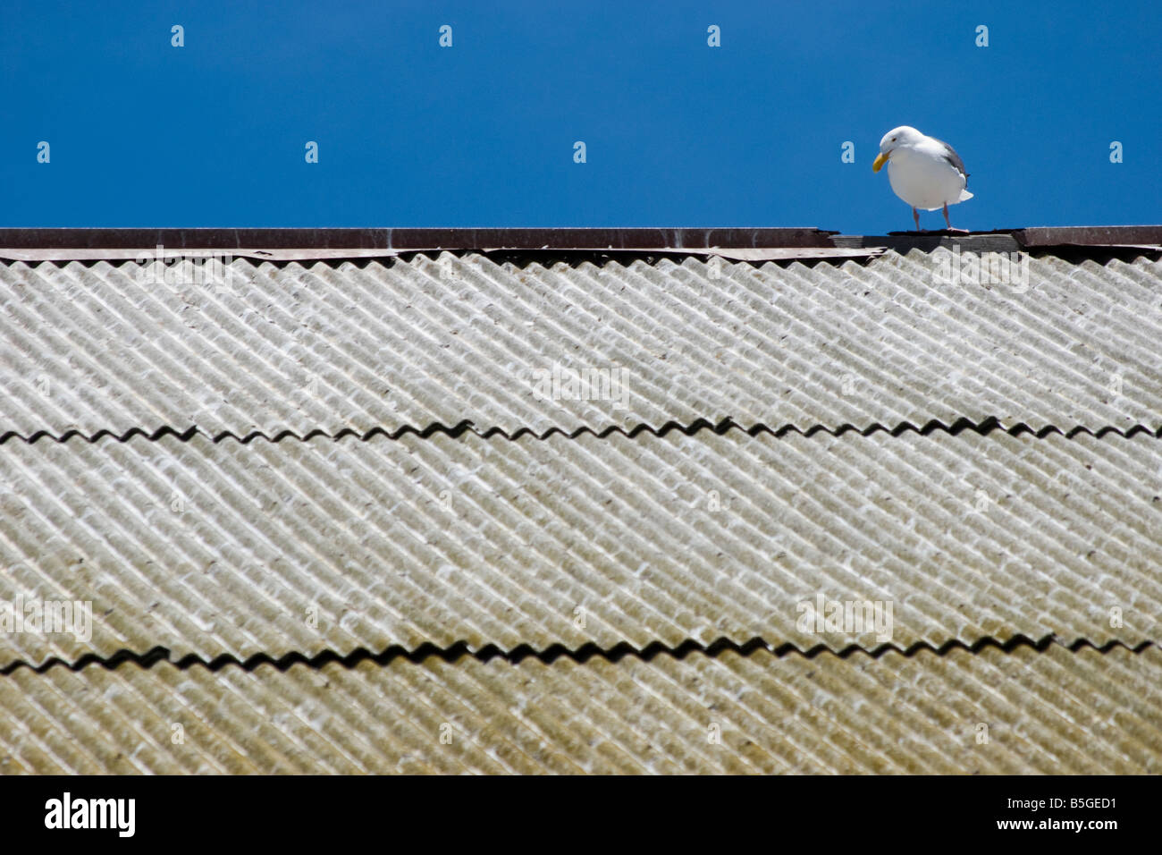 Rooftop sea hi-res stock photography and images - Alamy