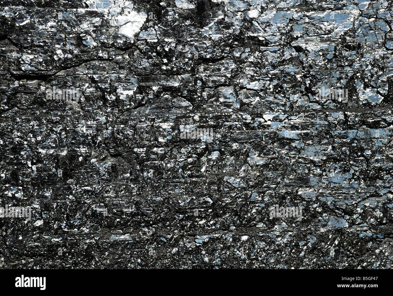 Black reflective surface of bituminous coal, mineral wealth under ...