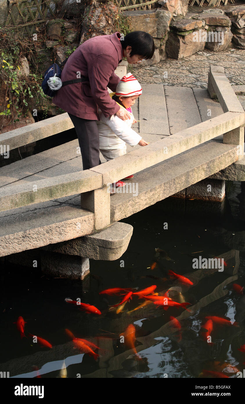 Red carp hi-res stock photography and images - Alamy
