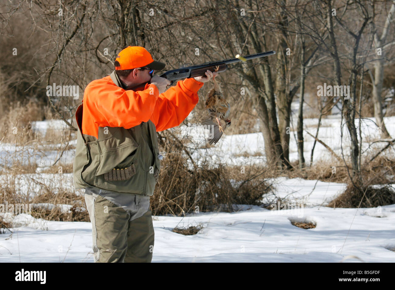 A pheasant hunter shooting his gun while holding a dead bird and the ...