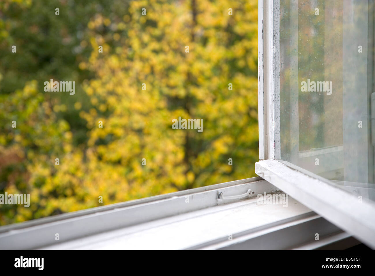 Window frame and wood and looking out hi-res stock photography and ...