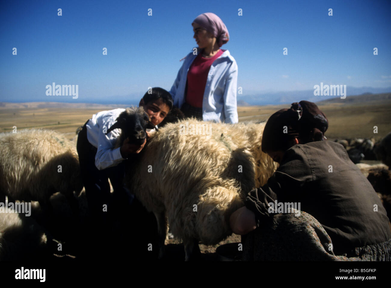 kurdish turkish villagers Stock Photo - Alamy