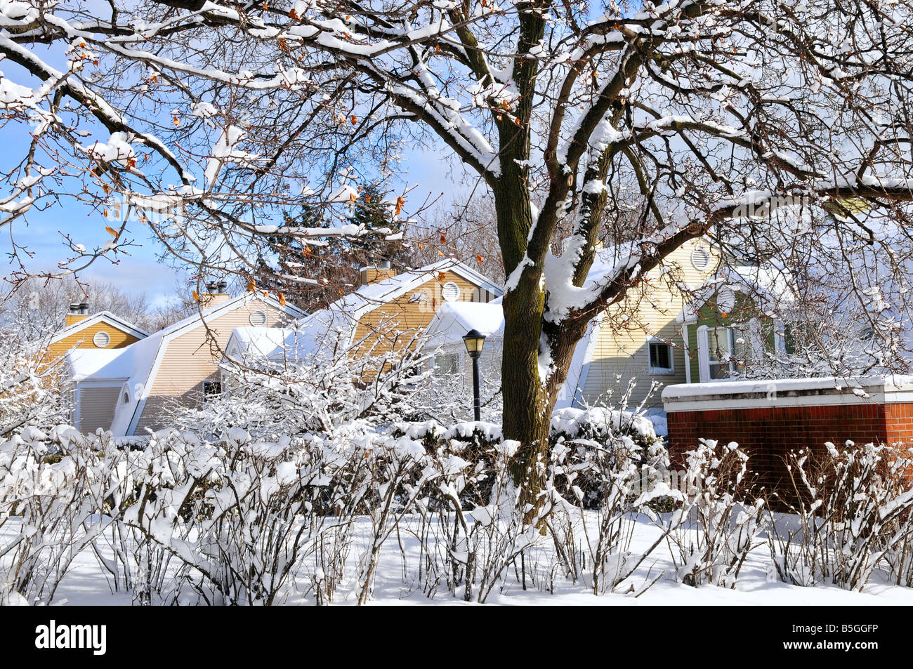 Winter street with lots of snow and colorful houses in Toronto Stock ...