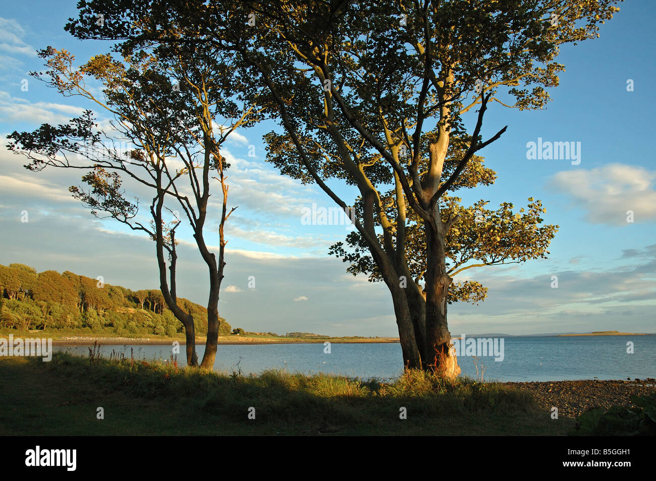 Mount stewart ireland lough hi-res stock photography and images - Alamy