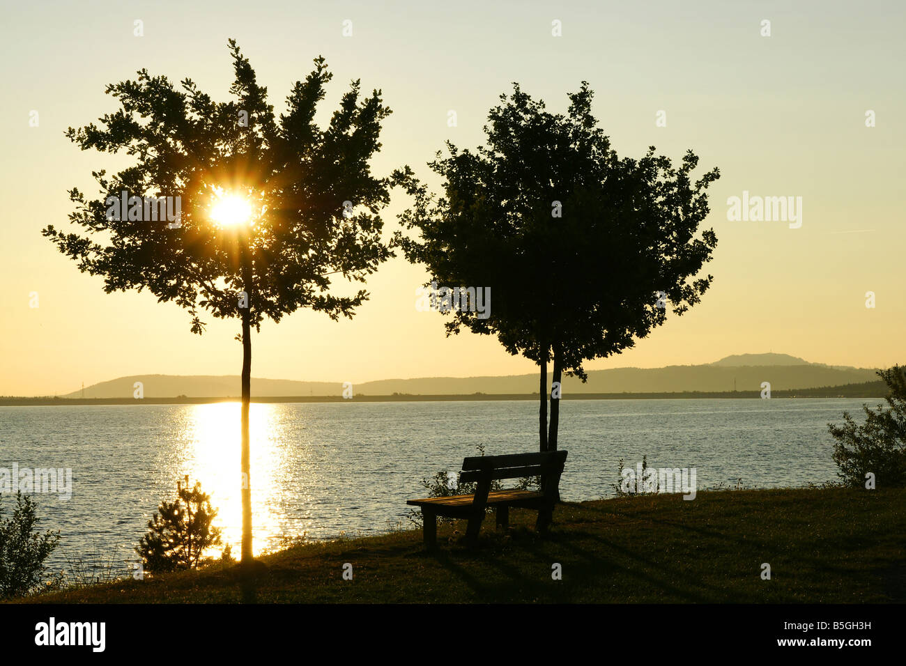 Rising sun behind a tree forming a star Stock Photo - Alamy