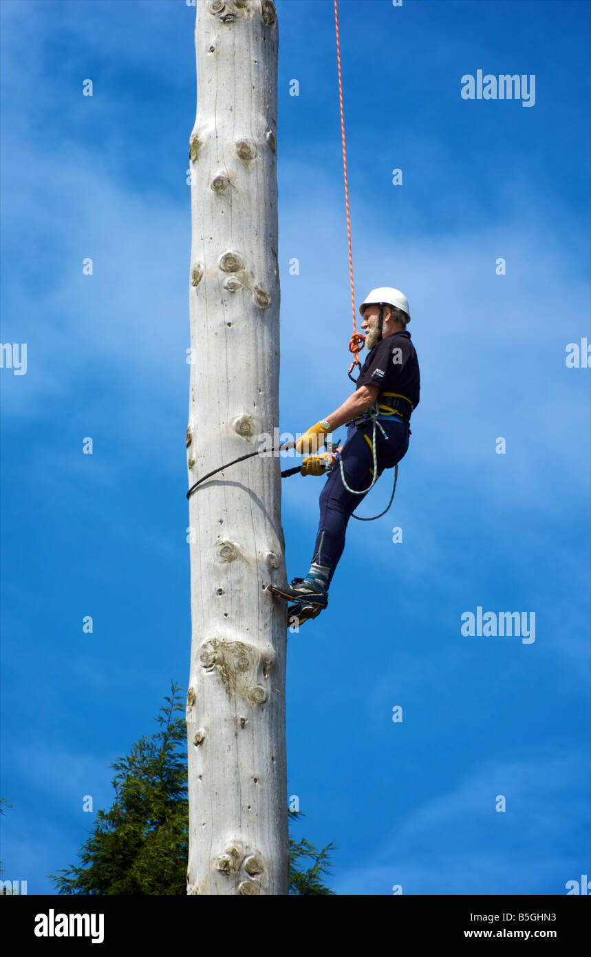 Pole tree trunk rope sport climbing safety helmet harness hi-res stock ...