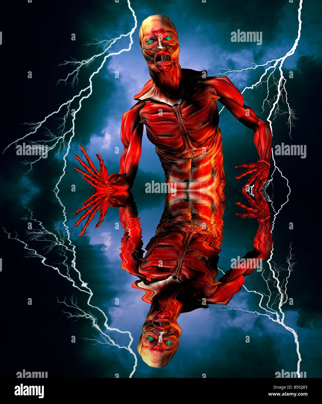 Muscle structure hi-res stock photography and images - Alamy