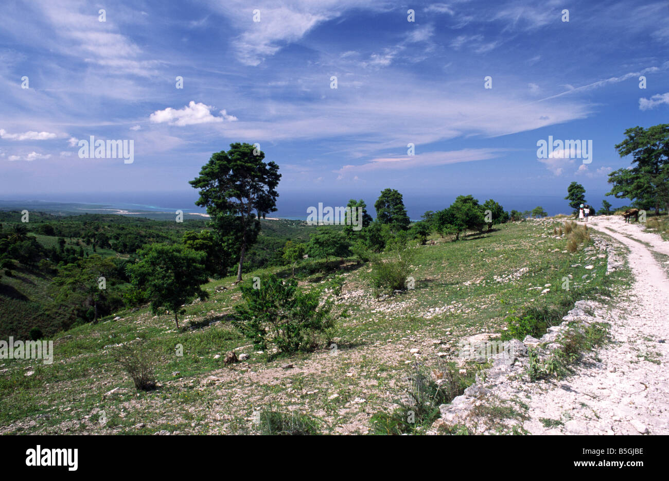 Extreme soil erosion and deforestation mean that Haiti's environment is ...