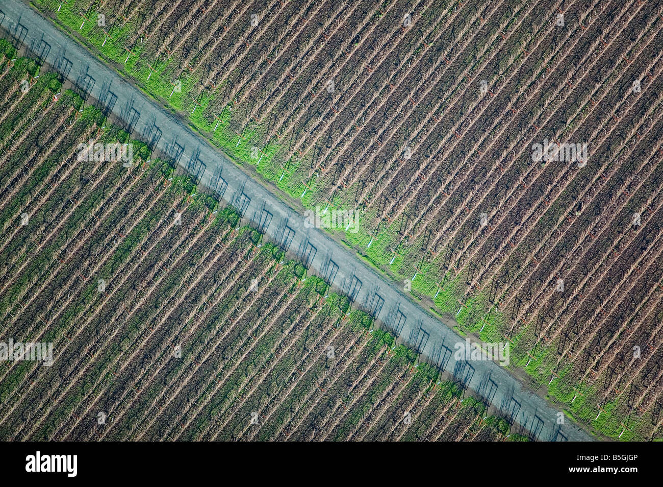 Diagonal hi-res stock photography and images - Alamy