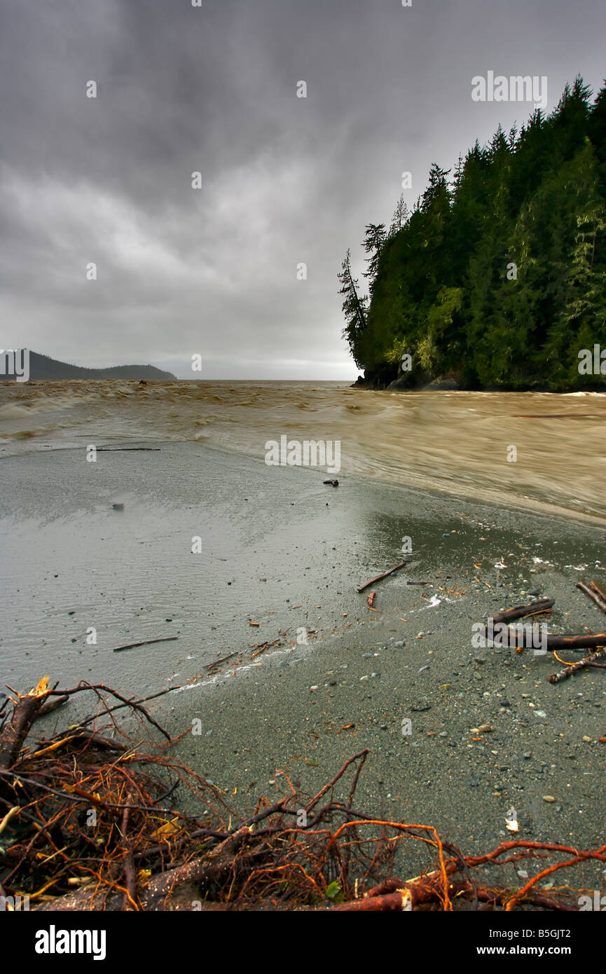 Port Renfrew, Vancouver Island Stock Photo - Alamy