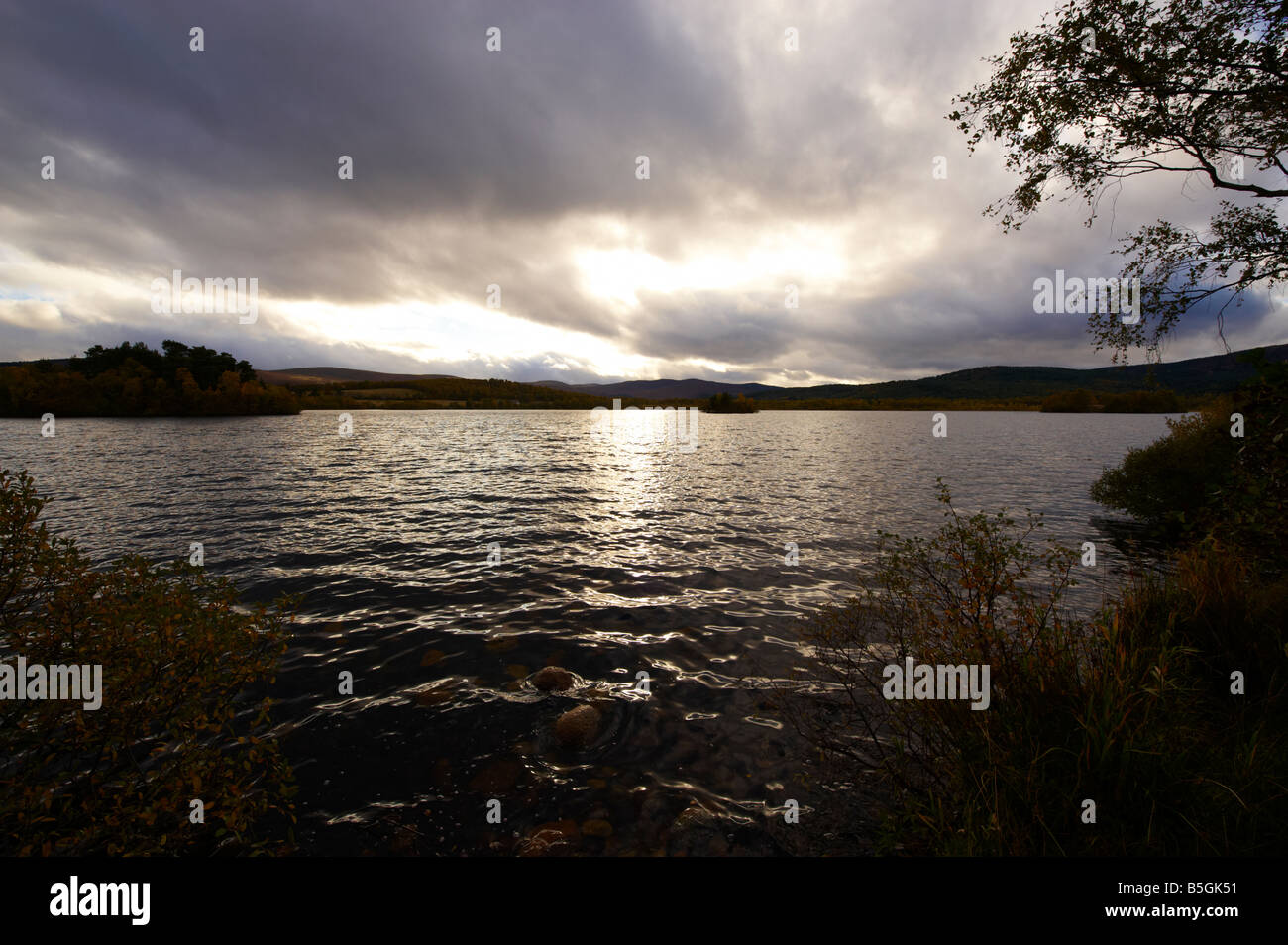 Burn O VAT Muir of Dinnet National Nature Reserve Loch Kinord Scotland ...