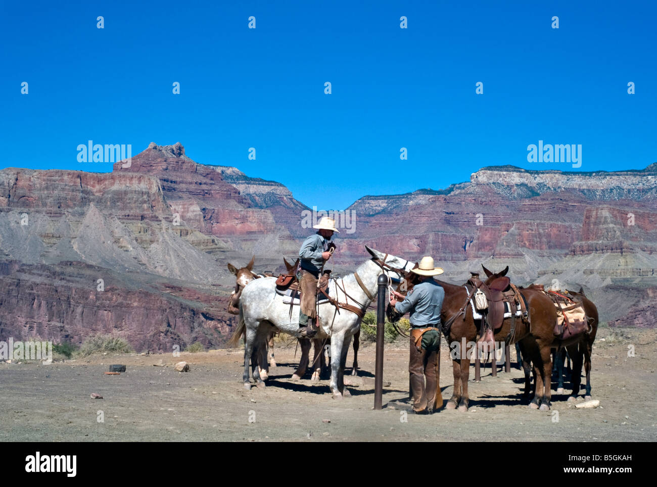 Arizona rangers hi-res stock photography and images - Alamy