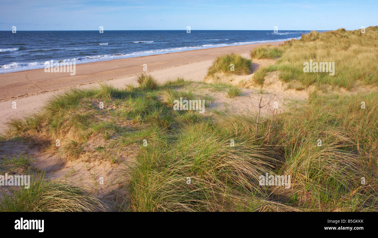 Holme Dunes Nature Reserve on the North Norfolk Coast Stock Photo - Alamy