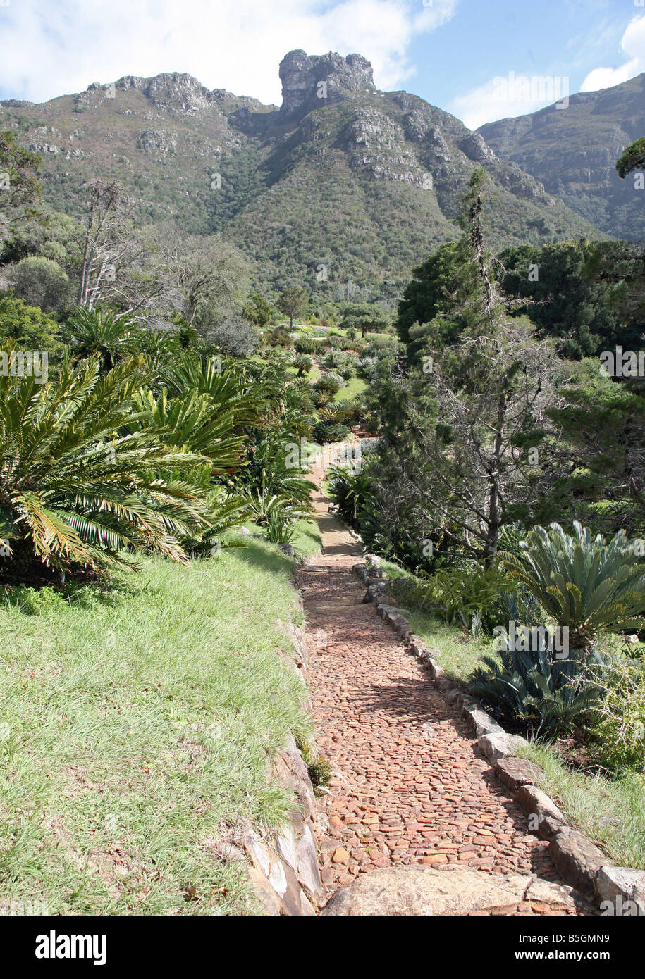 Kirstenbosch garden hi-res stock photography and images - Alamy