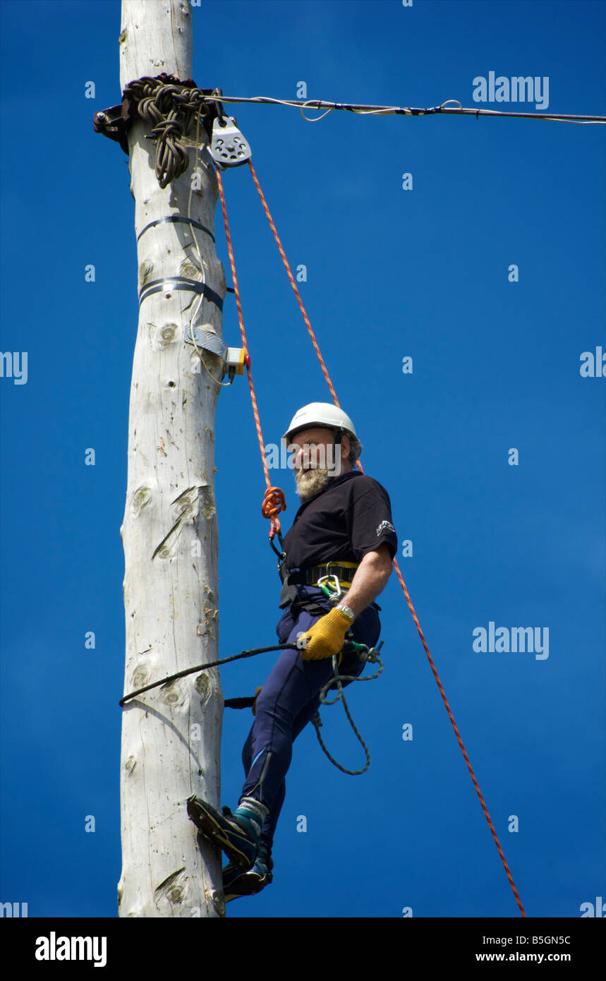 Pole tree trunk rope sport climbing safety helmet harness hi-res stock ...