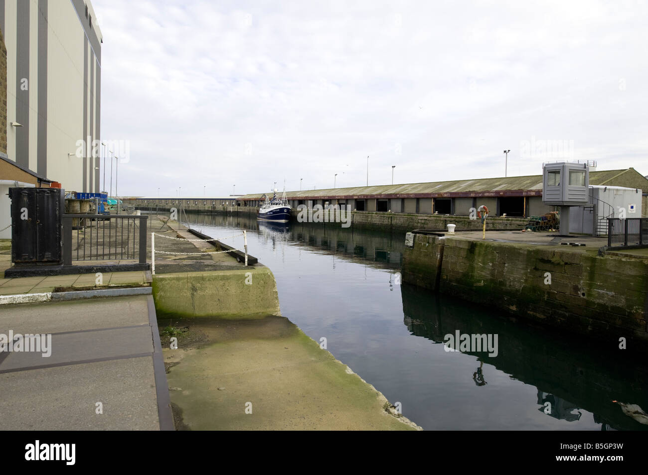 Peterhead Fish Market High Resolution Stock Photography and Images - Alamy