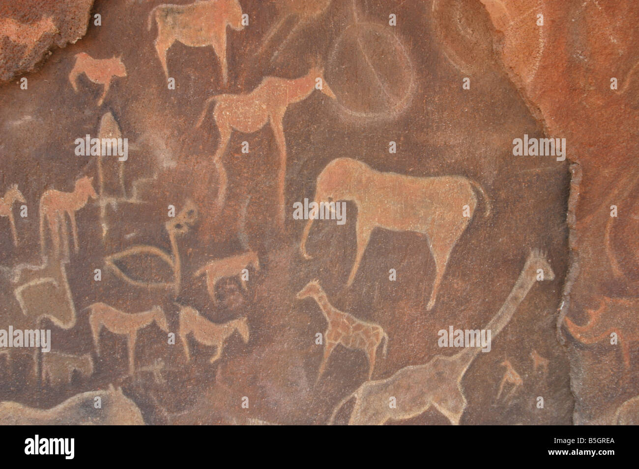 African Petroglyph Cave Drawings on Red Sandstone with Elephant and ...