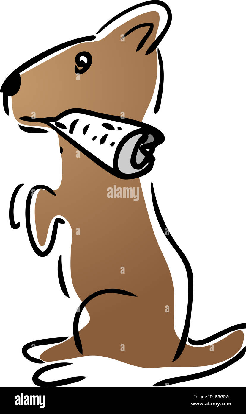 Cartoon Loyal Dog Meet Hank | Loyal Dog And Poop Sidekick | Mr Poop