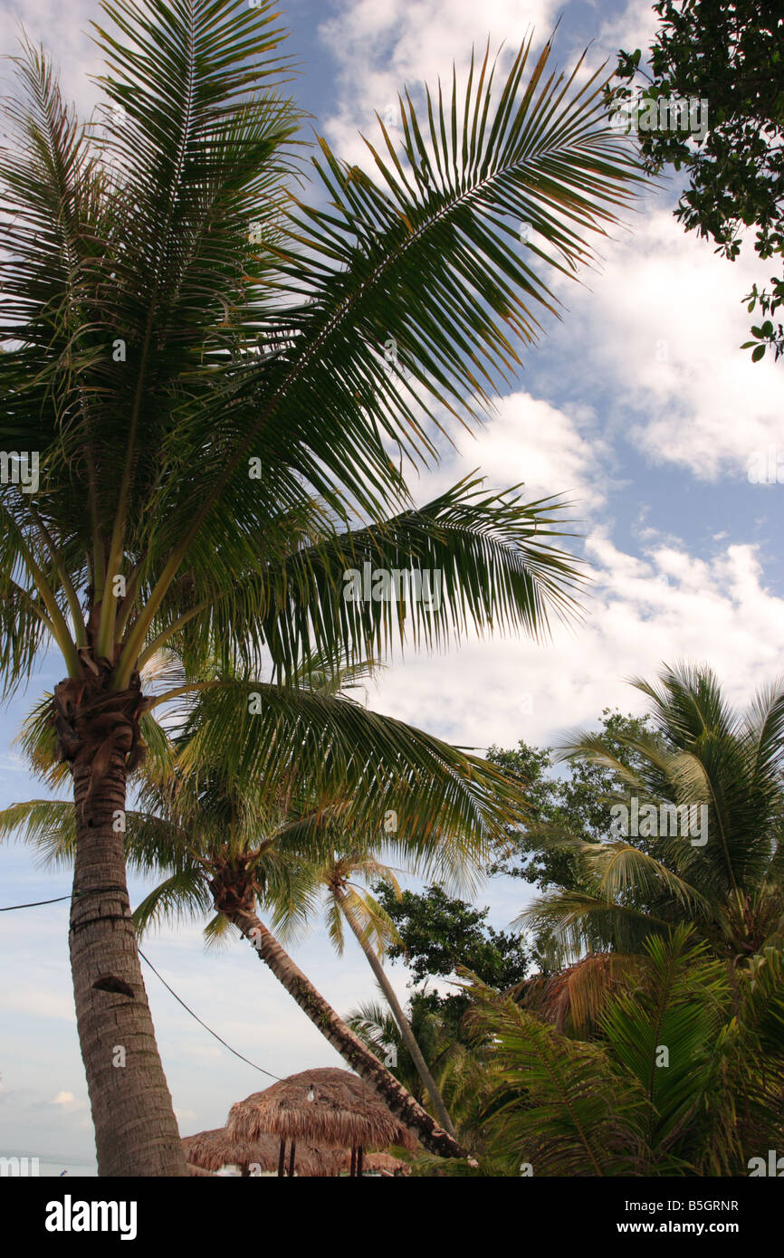 Chenang beach in Langkawi Malaysia Stock Photo - Alamy