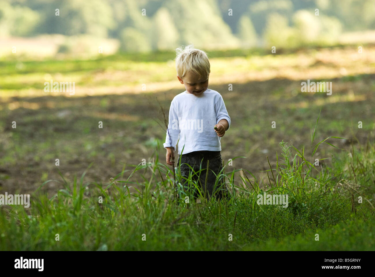 Blond boy standing summer / autumn in plow field Stock Photo - Alamy