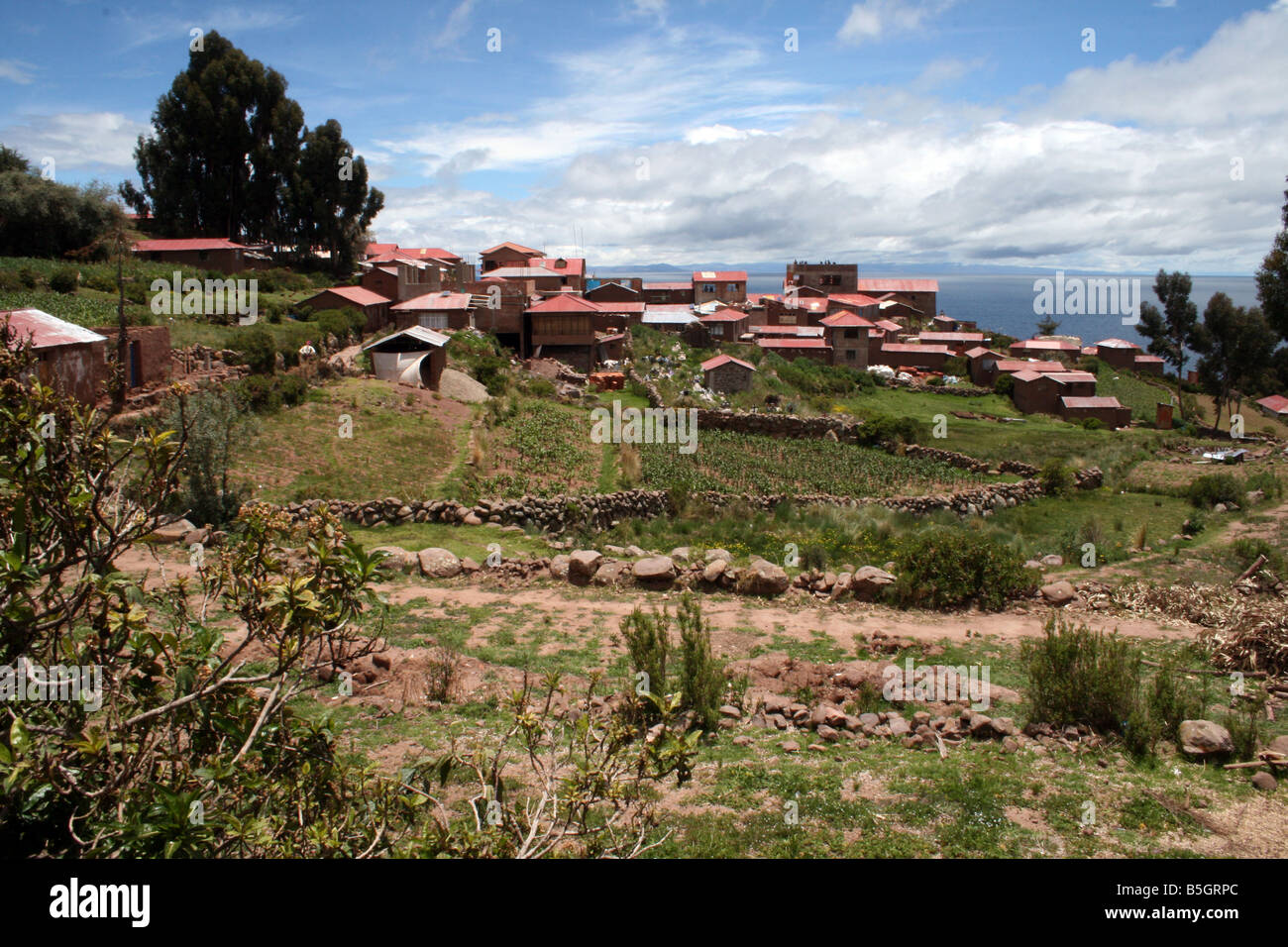 Perù Taquile island on the Titicaca Lake terrace cultivation Stock ...