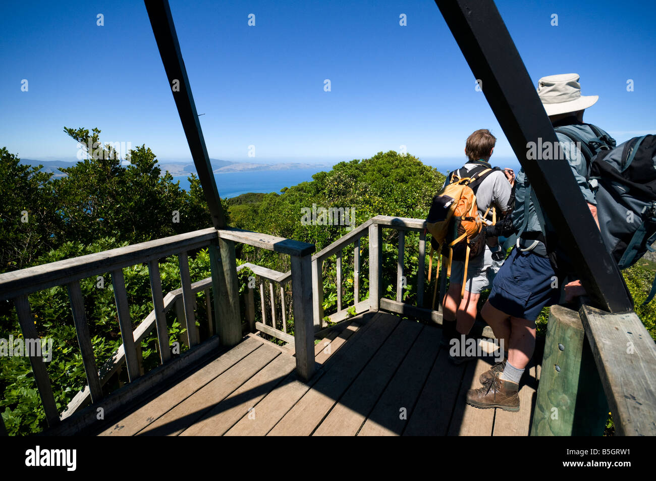 Lookout tower with tree hi-res stock photography and images - Alamy