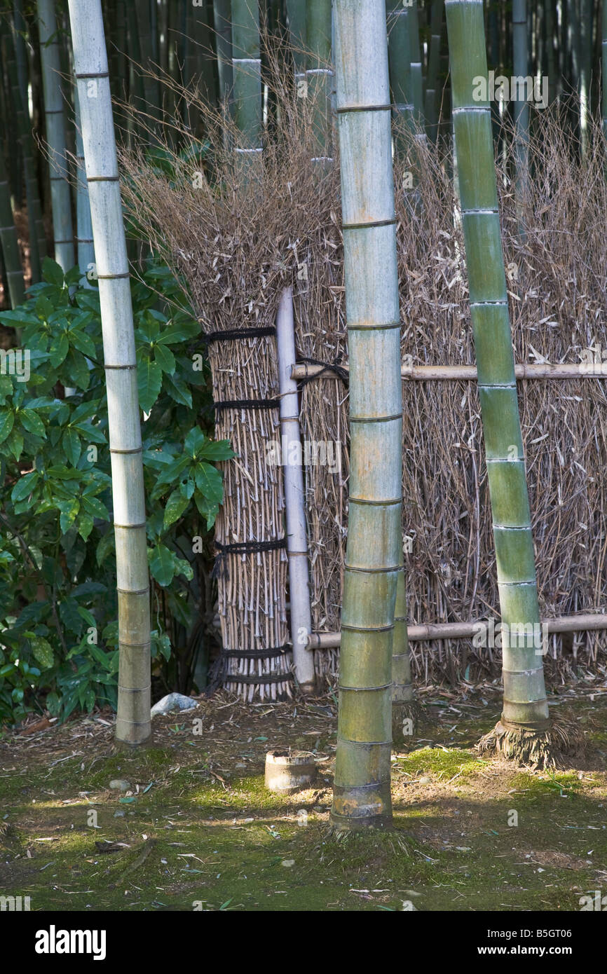 Detail fence in japanese garden hi-res stock photography and images - Alamy
