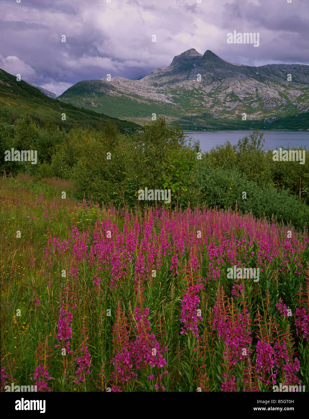 Mo i rana sweden hi-res stock photography and images - Alamy