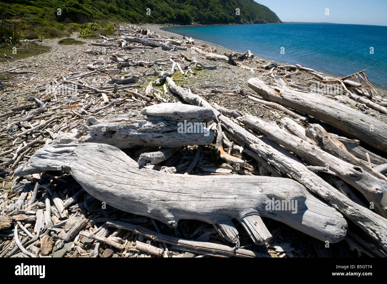Pebbles on beach new zealand hi-res stock photography and images - Alamy