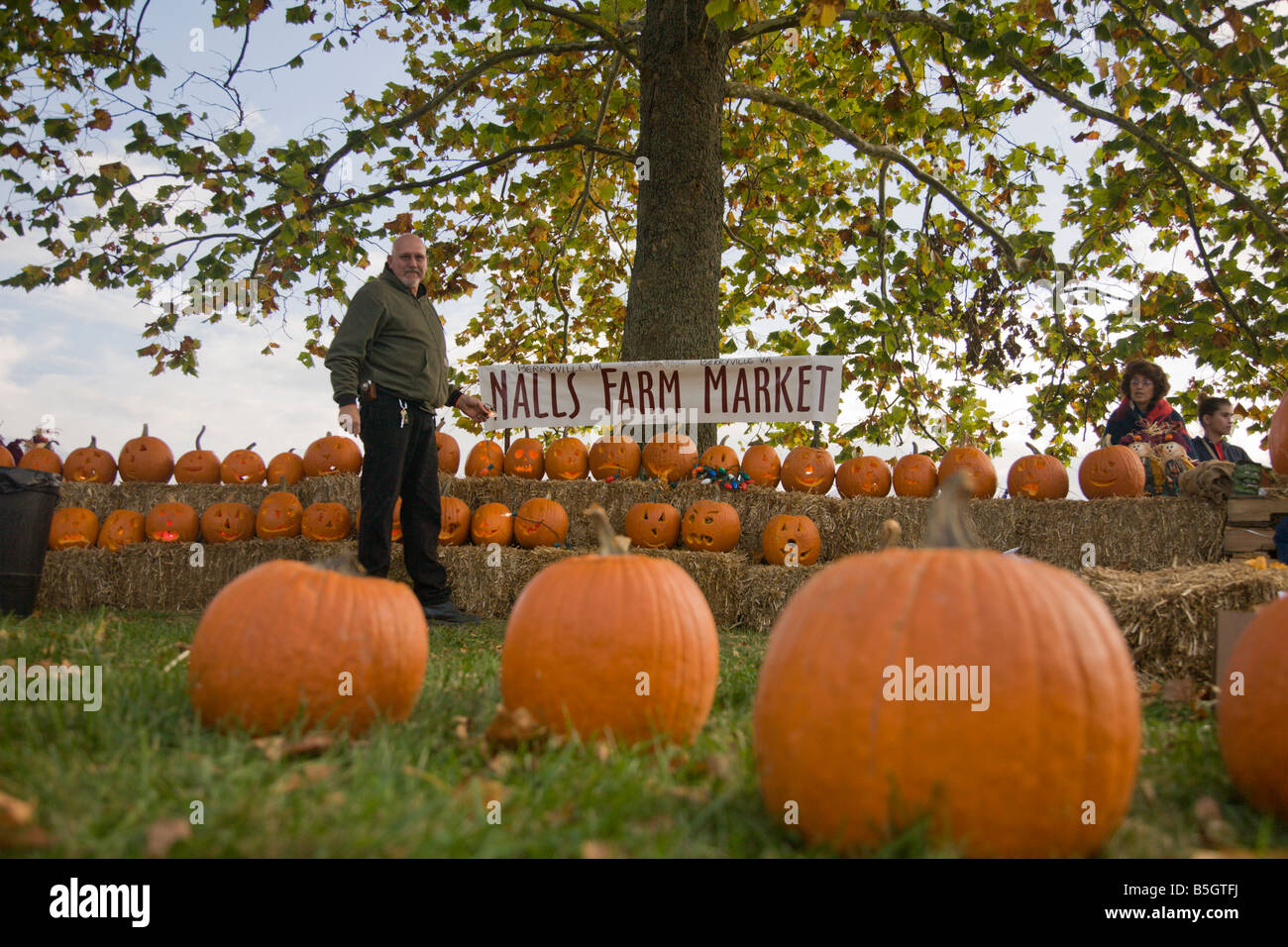 Nalls Farm Market pumpkin display at the 2008 Shenandoah Valley Hot Air ...