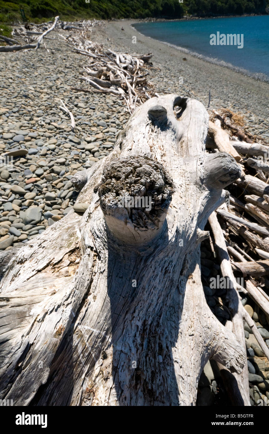 Pebbles on beach new zealand hi-res stock photography and images - Alamy