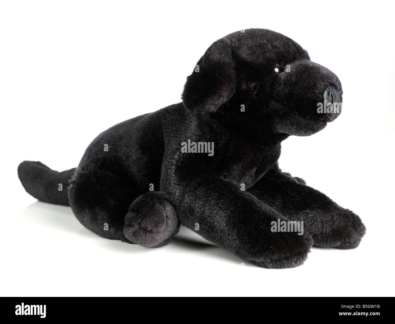 Animal silhouettes hi-res stock photography and images - Alamy