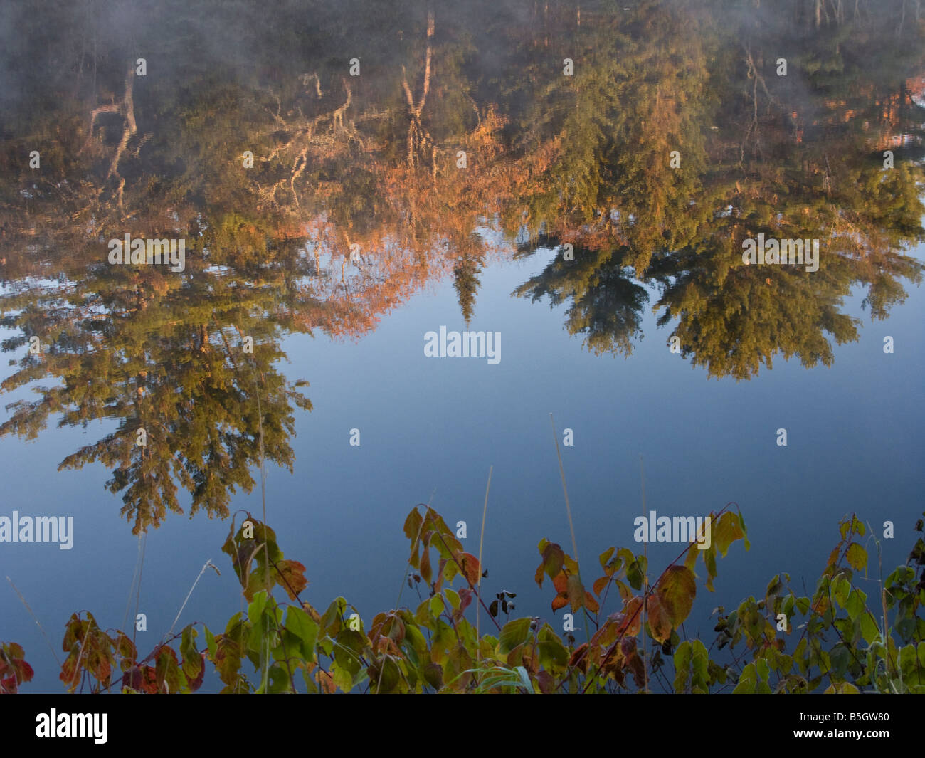 St George River in Warren Maine United States Stock Photo - Alamy