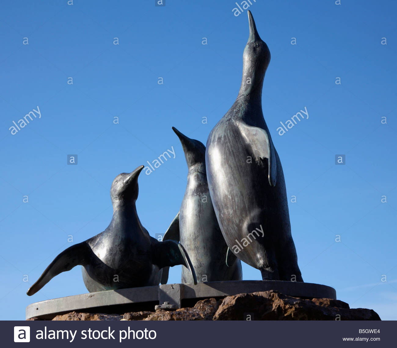 Penguin sculpture hi-res stock photography and images - Alamy