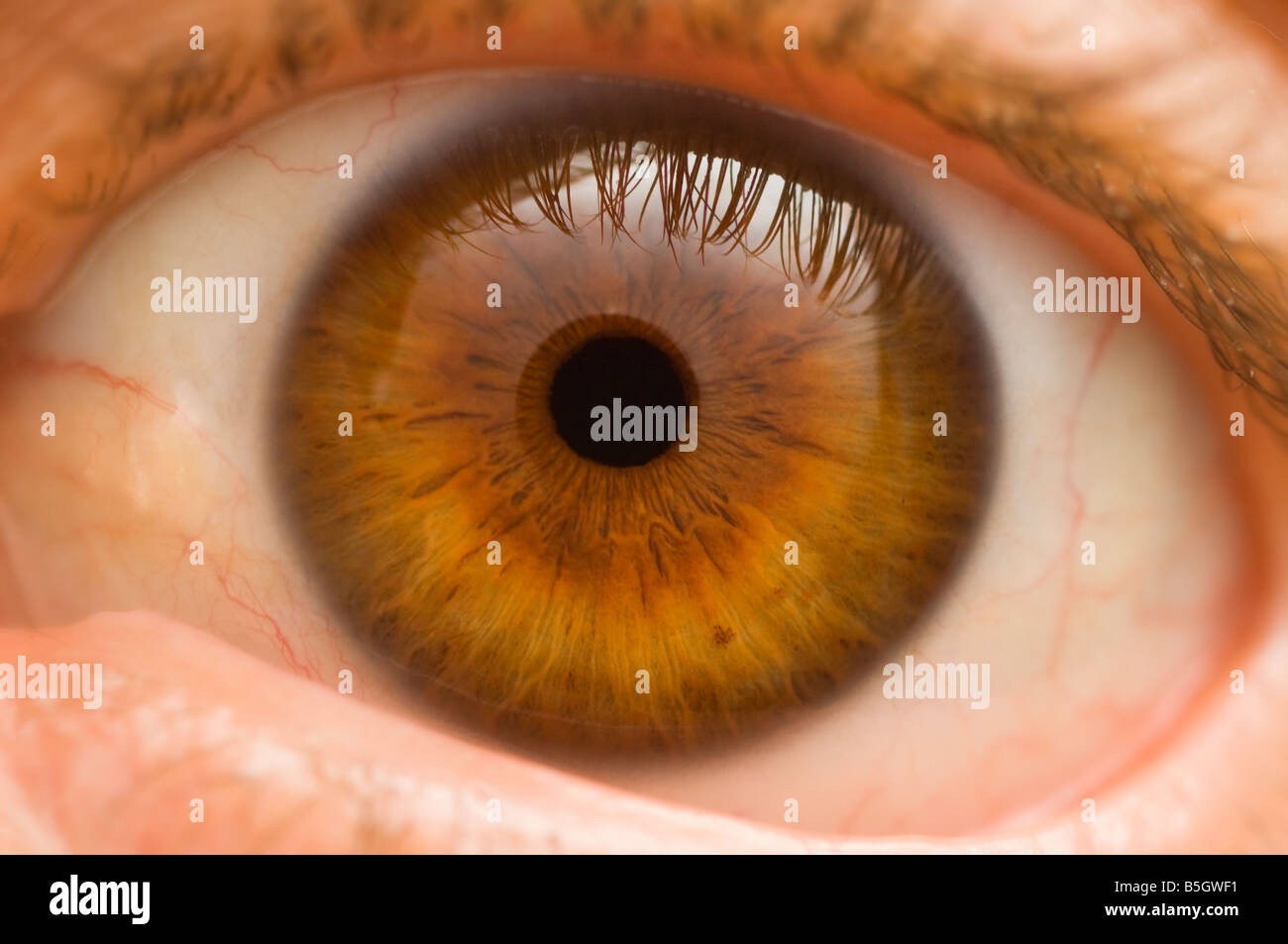 Eye open wide hi-res stock photography and images - Alamy