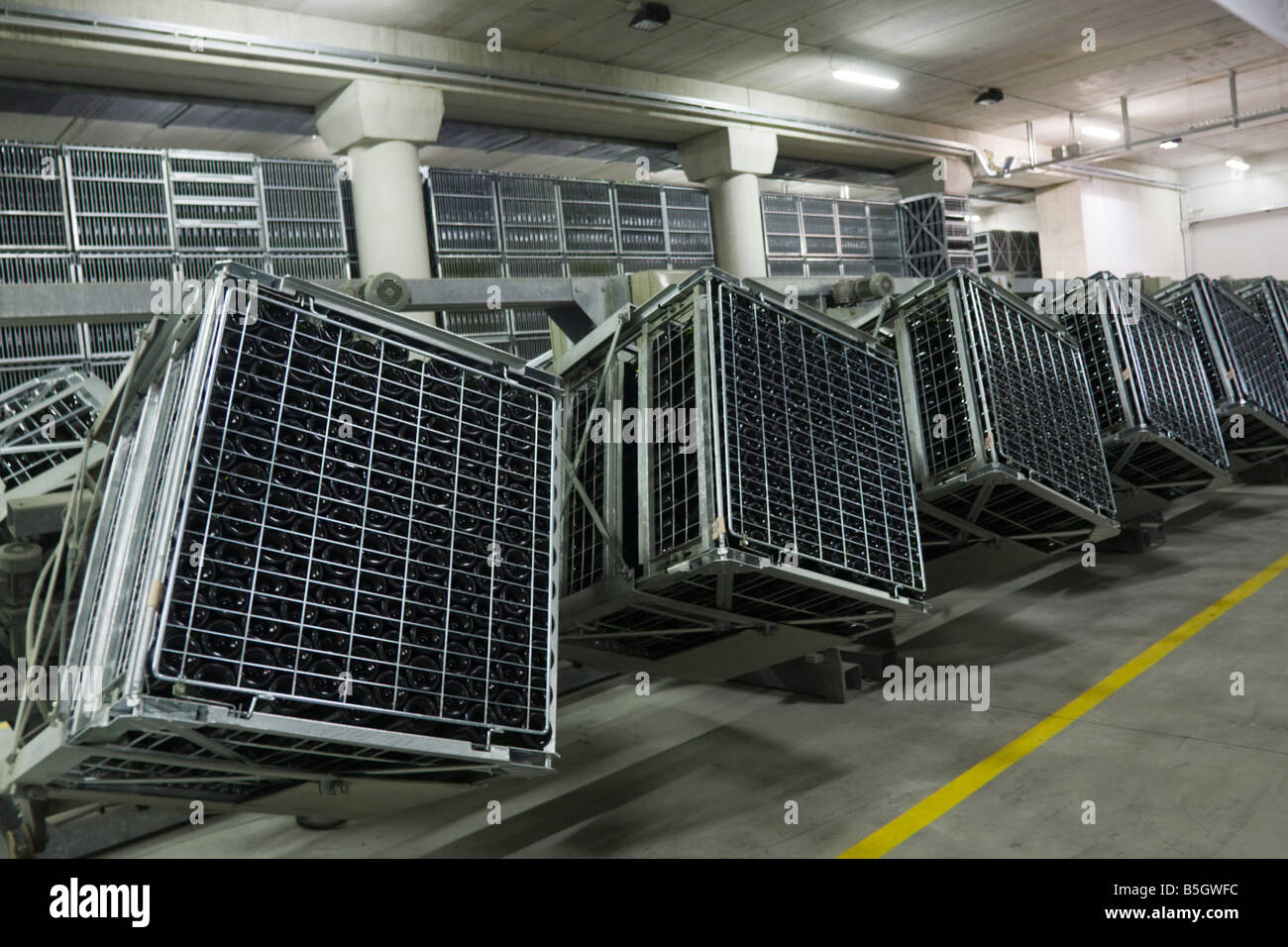 Champagne method bottle turning machines for spumante bottles Stock ...