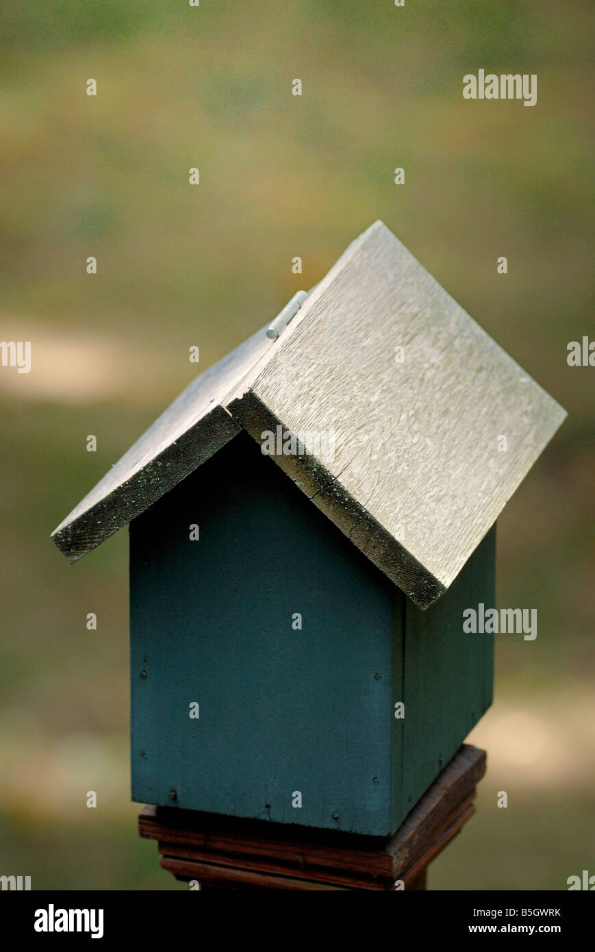 Small backside hi-res stock photography and images - Alamy