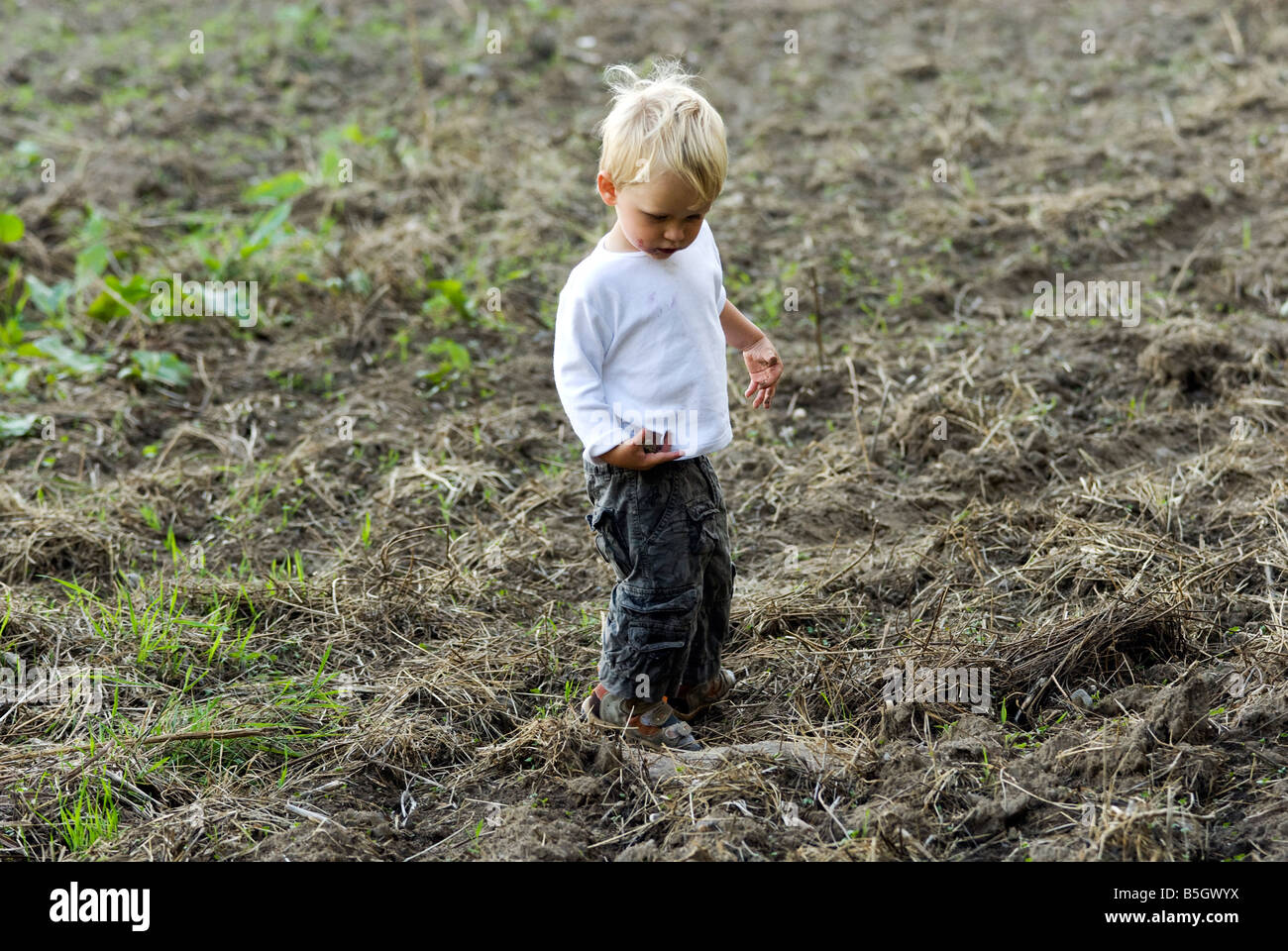 Blond boy standing summer / autumn in plow field Stock Photo - Alamy
