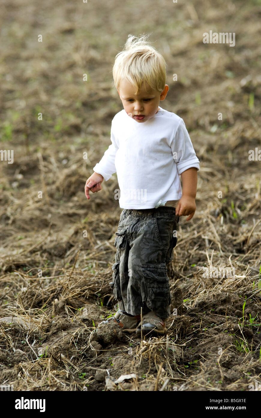 Blond boy standing summer / autumn in plow field Stock Photo - Alamy