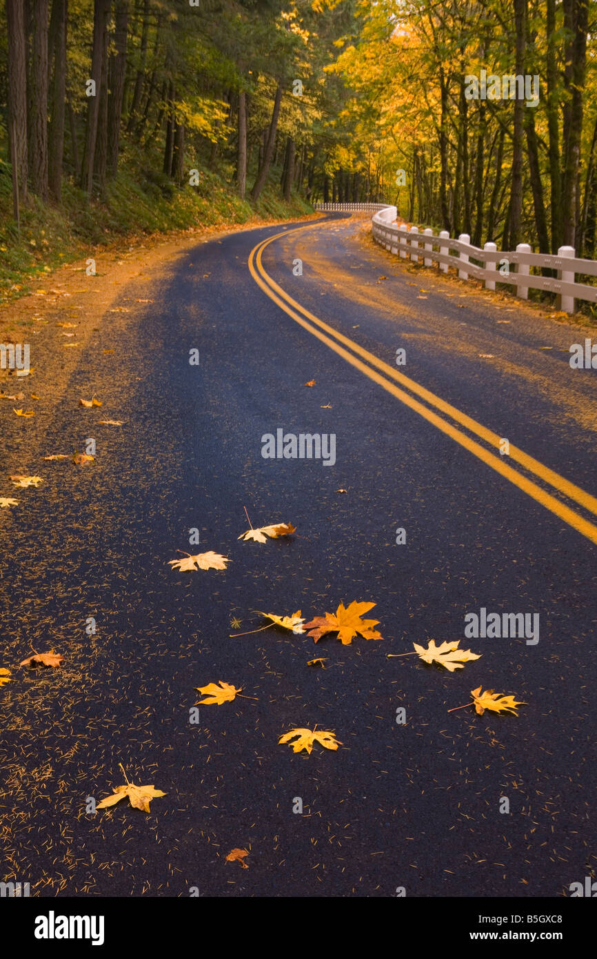 Columbia River Gorge Scenic Highway Oregon Northwest Fall wet Stock ...