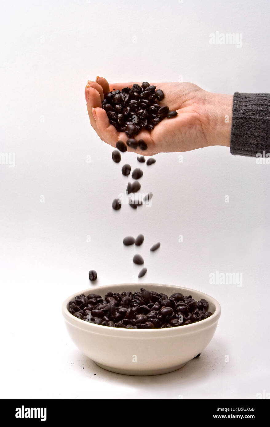 Female hand pouring fresh roasted coffee beans showing its high quality ...