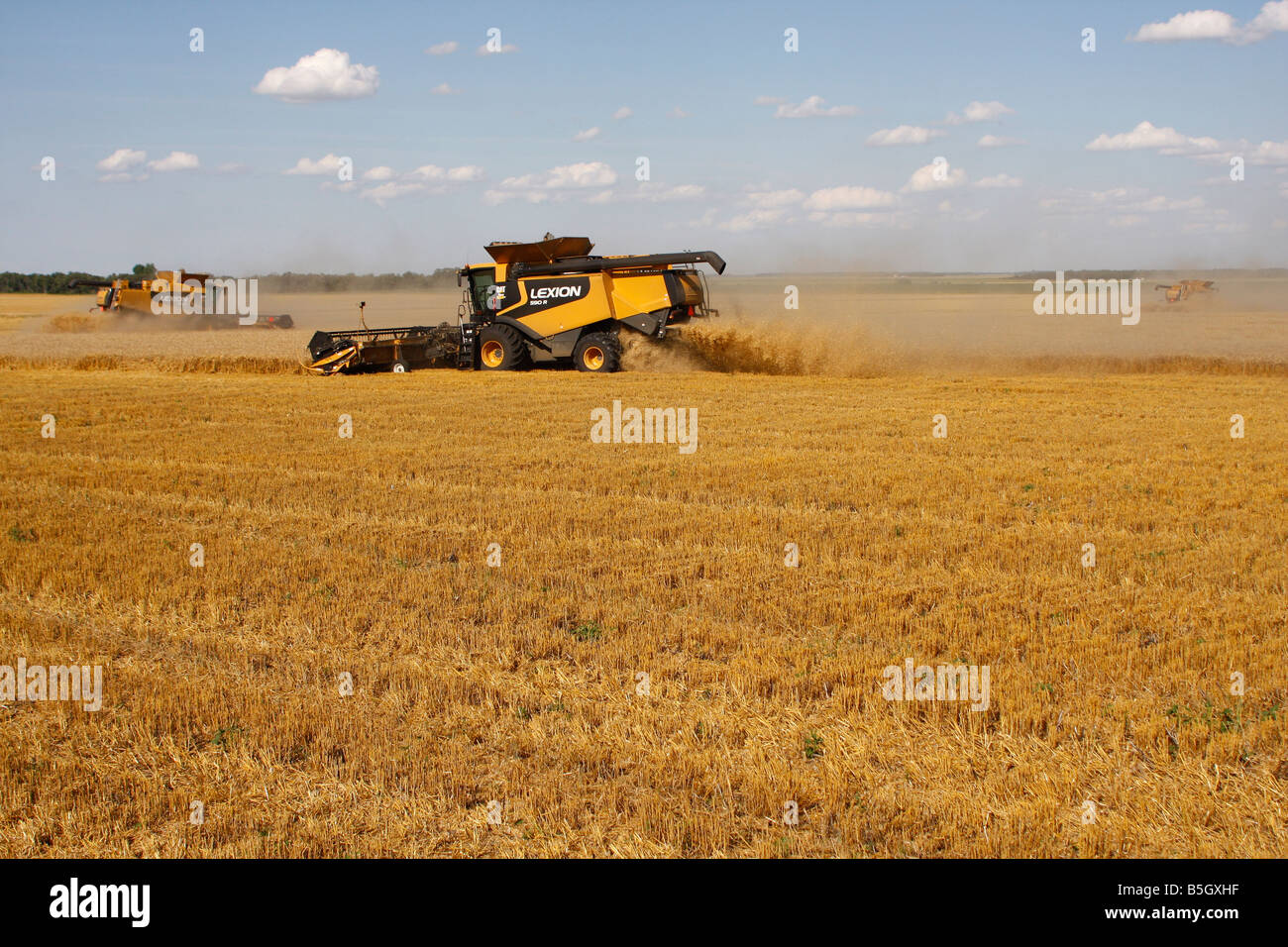 Combines harvesting wheat hi-res stock photography and images - Alamy