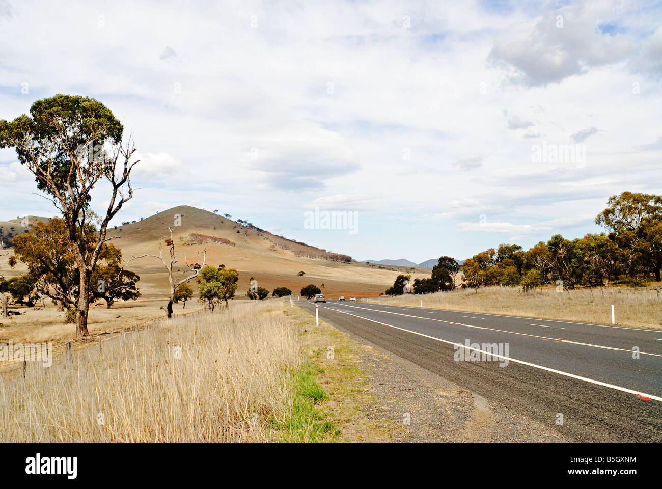 Canberra australia bush capital hi-res stock photography and images - Alamy