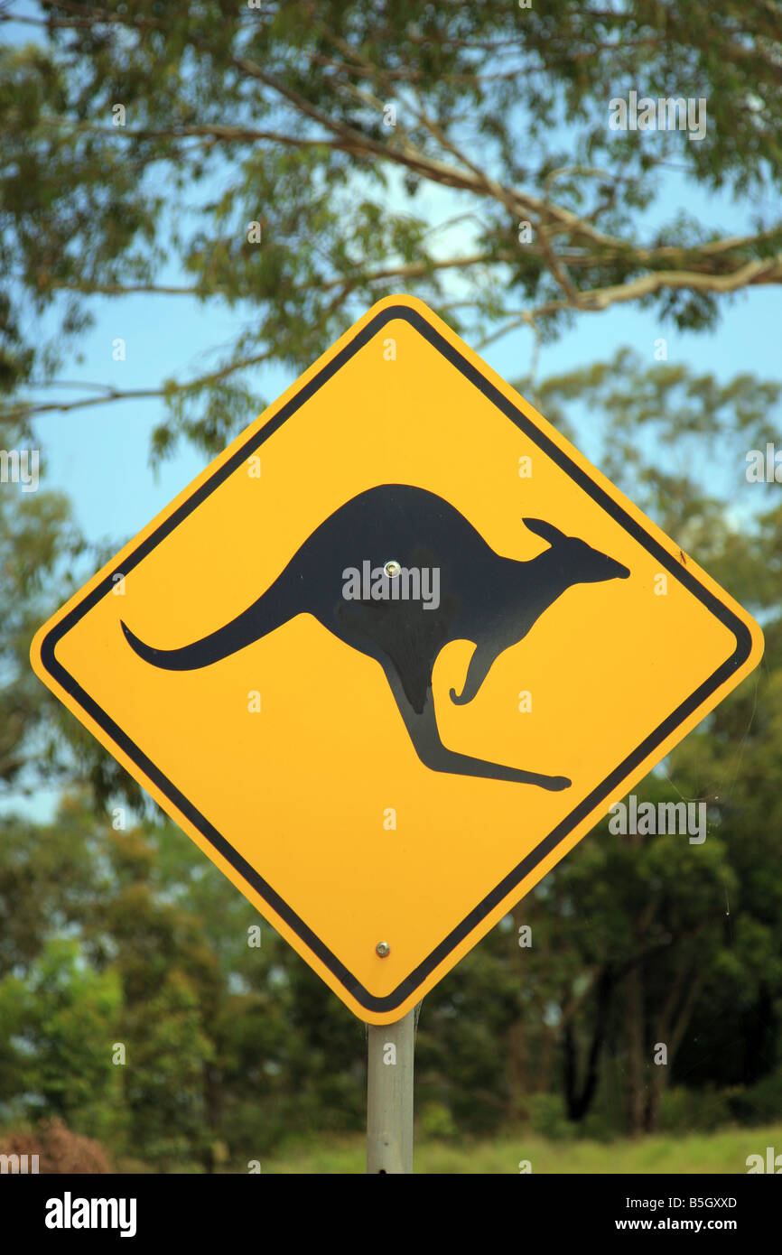 Kangaroo warning sign Stock Photo - Alamy