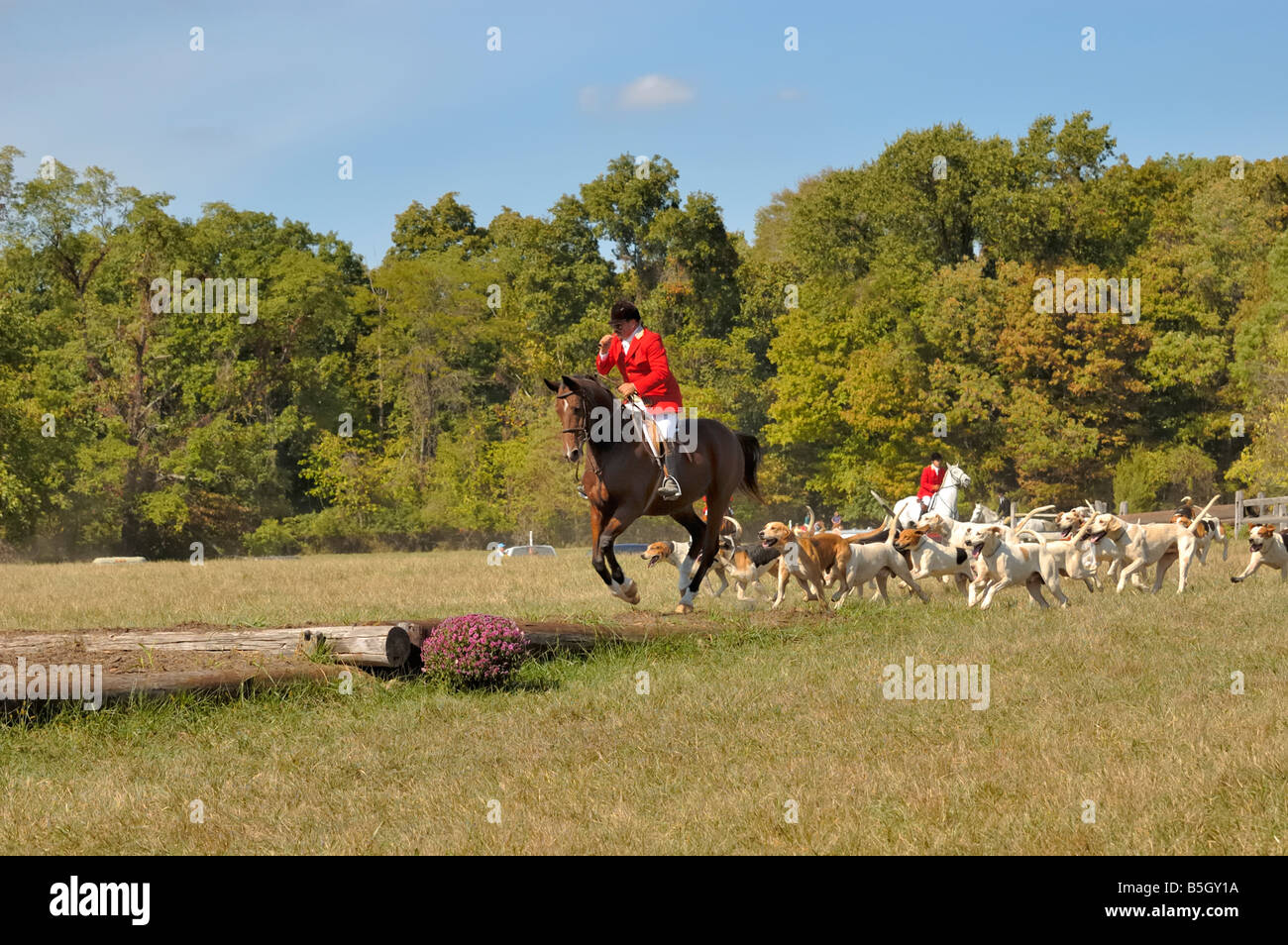 Annual Hunter Trials of The Camargo Hunt in Indian Hill Ohio USA Stock ...