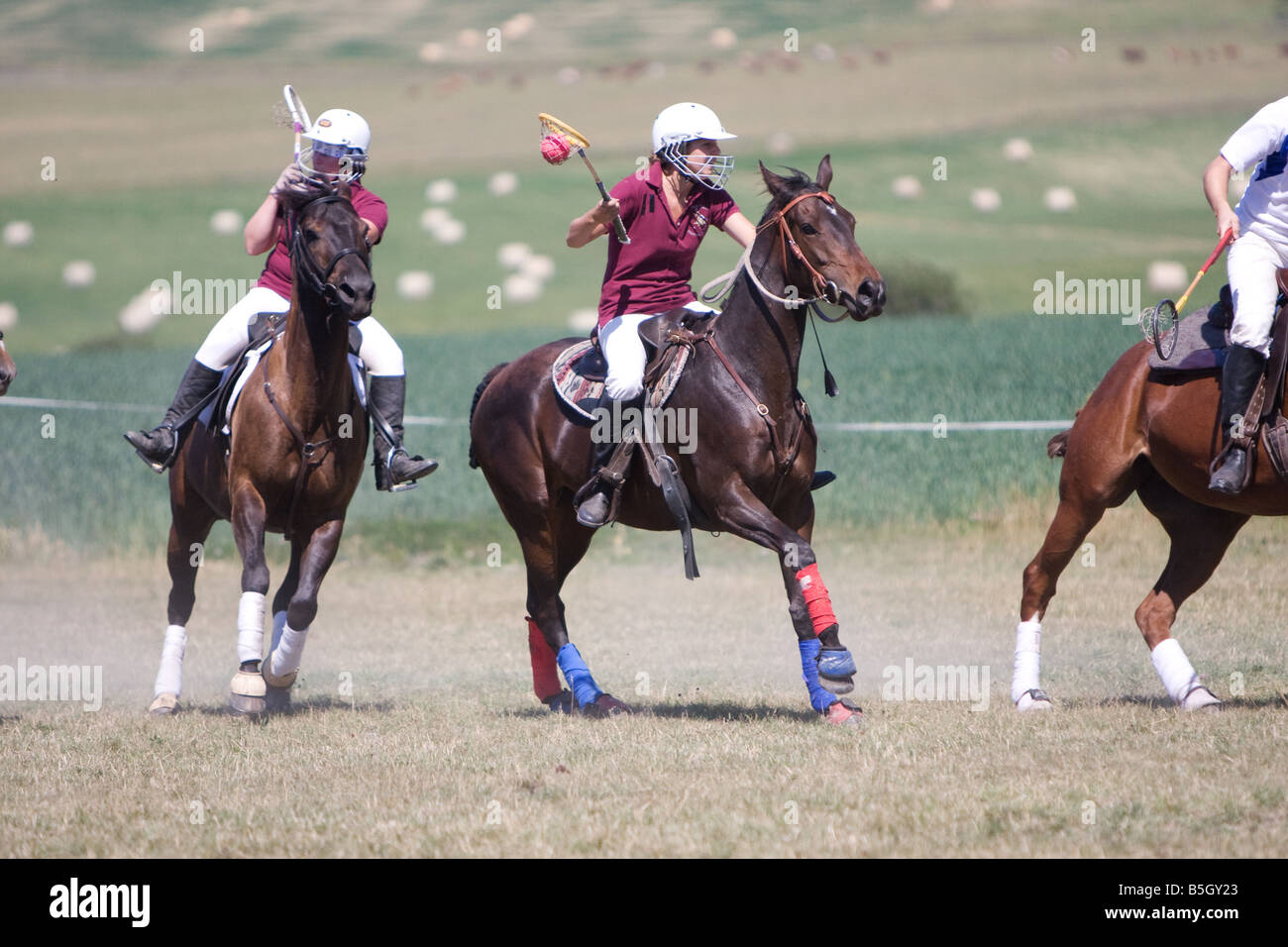 Two riders battle for the ball during a polocrosse match on horseback ...