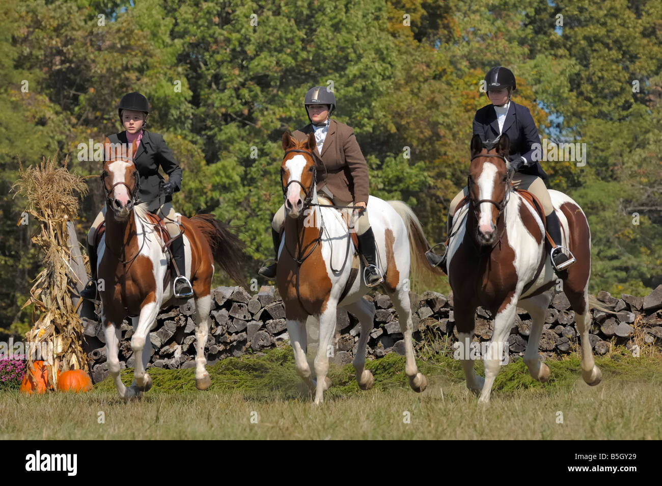 Annual Hunter Trials of The Camargo Hunt in Indian Hill Ohio USA Stock ...