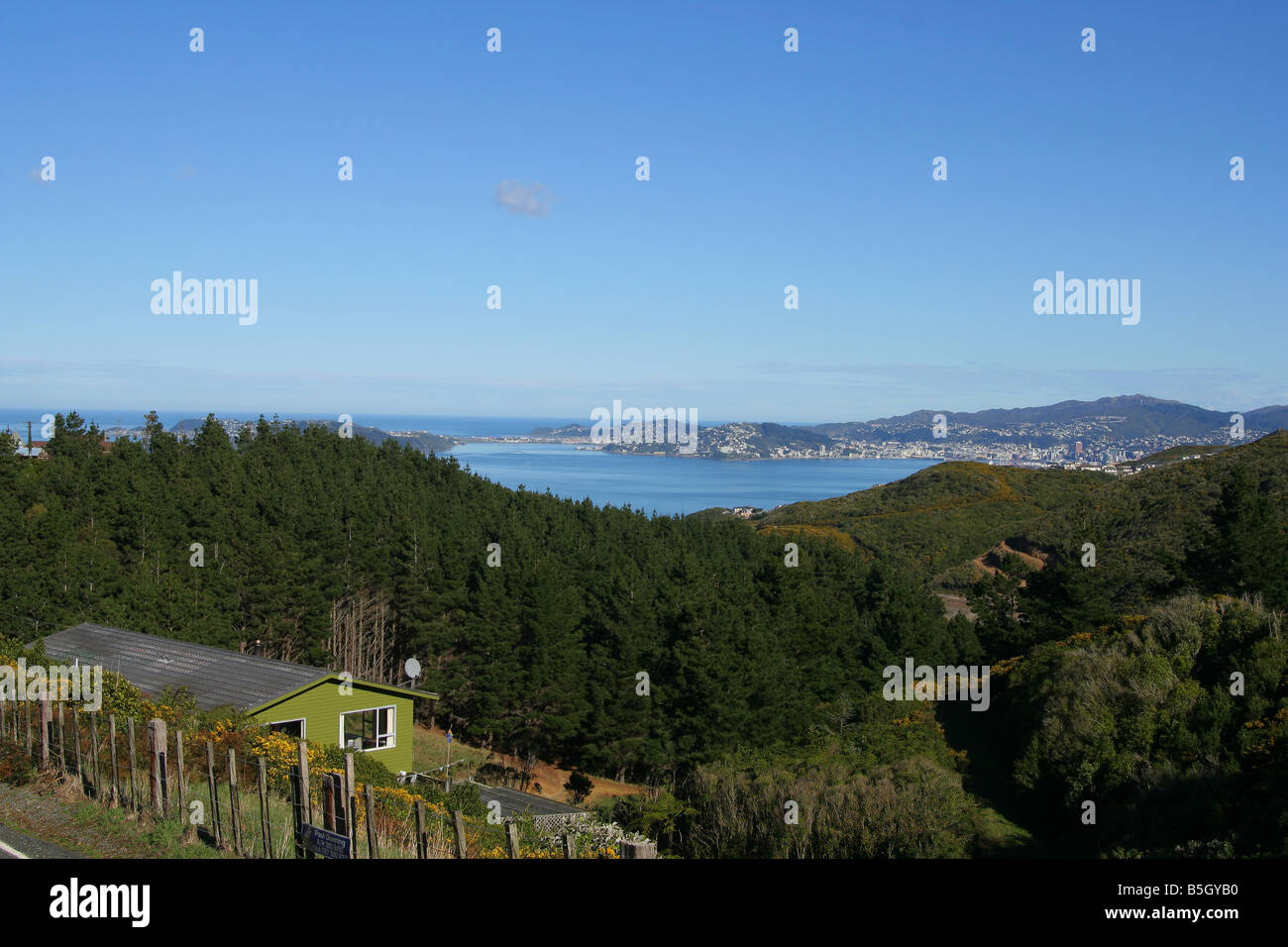 Wellington harbour scenic view from Horokiwi Stock Photo - Alamy